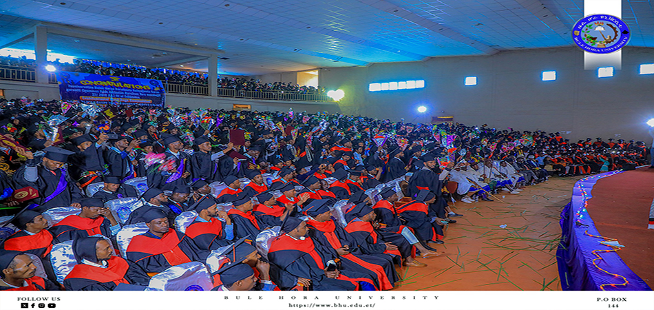 Bule Hora University